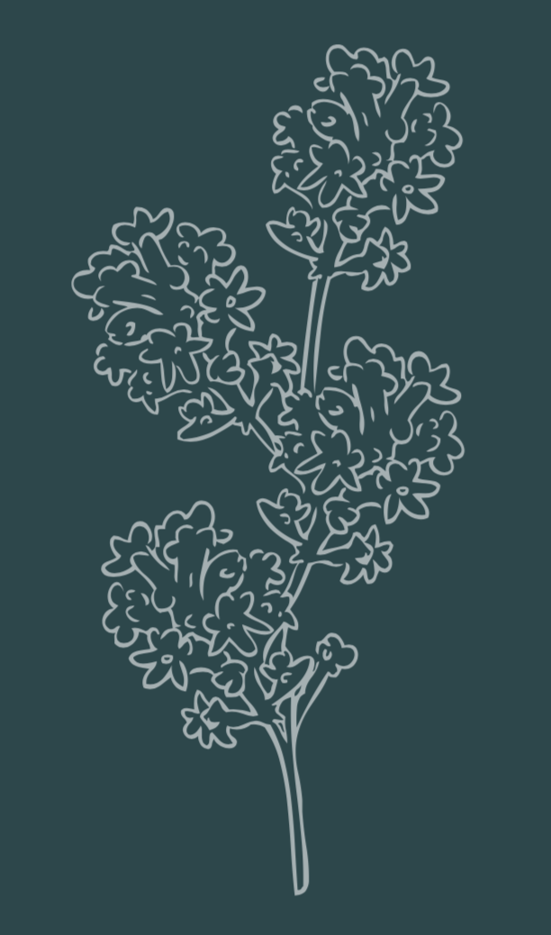 Joanna G. Rudnick, Licensed Massage Therapist